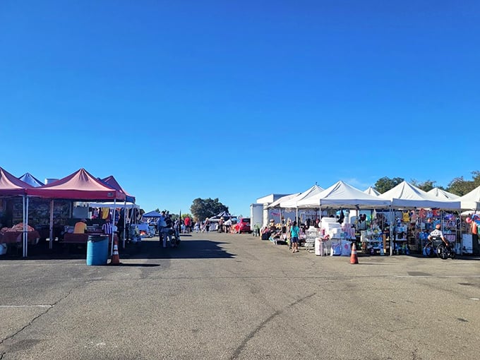 One person's junk is another's treasure. Stockton's flea market offers unexpected finds for those willing to look closely.