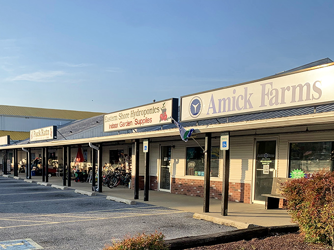 Amick Farms and neighboring shops create a one-stop destination for everything from garden supplies to vintage finds.