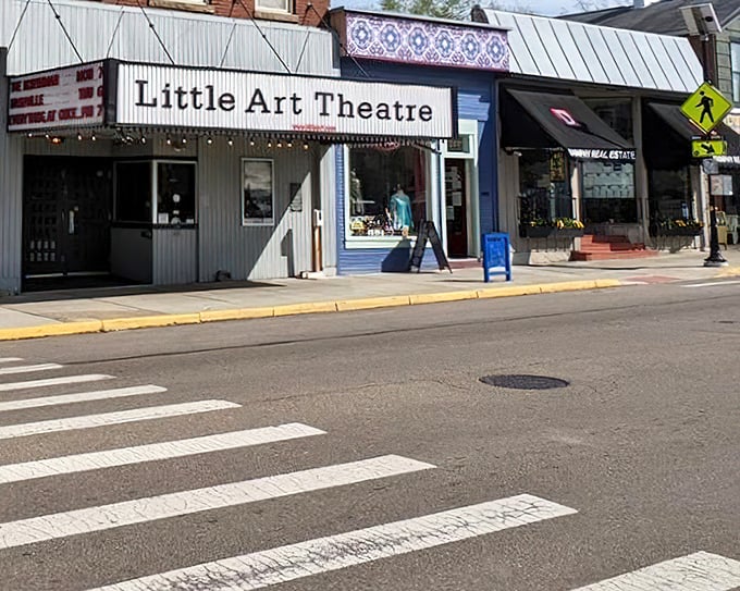 The Little Art Theatre has been keeping Yellow Springs culturally nourished since 1929. No superhero franchises needed when you've got indie film cred this strong.