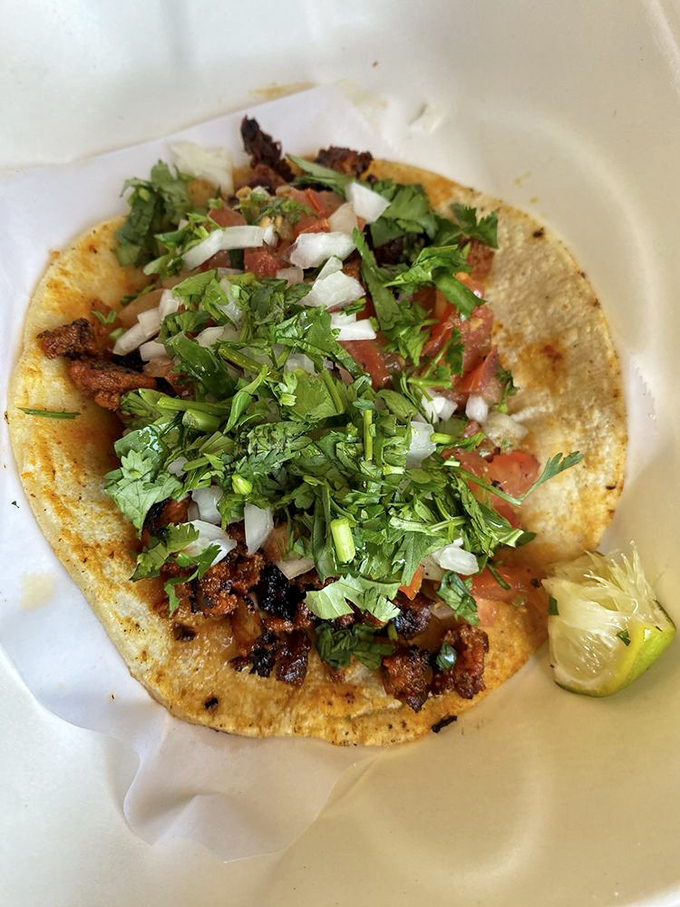 This al pastor taco doesn't need a fancy introduction—it speaks for itself. The charred edges of seasoned pork nestled under a blanket of cilantro tell you everything.