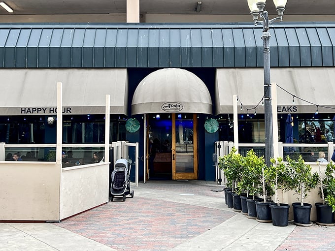 Aloha Steakhouse brings oceanfront dining down to earth—the kind of place where "happy hour" actually makes you happy instead of checking your bank balance afterward.