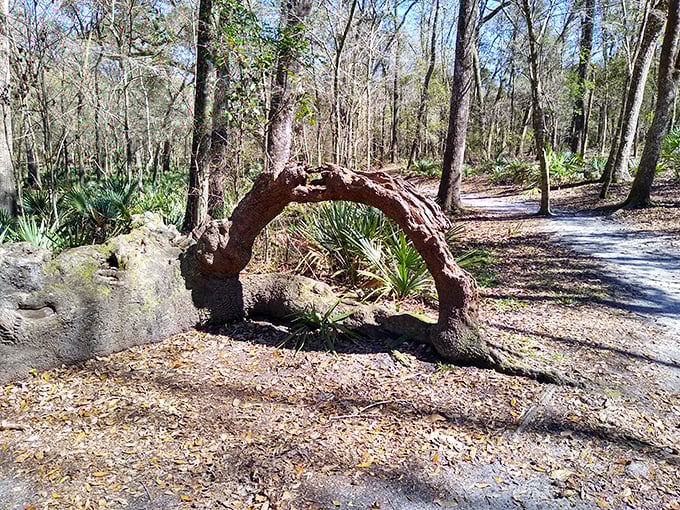 Mother Nature's sculpture garden features this perfect arch. Somewhere, an art gallery curator is weeping with jealousy.