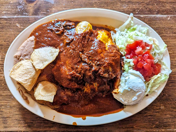 This plate doesn't just serve food—it serves a masterclass in Mexican comfort. The tortillas stand like sentinels around that perfectly seasoned meat.