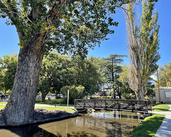 Bishop City Park offers a tranquil oasis where towering trees provide shade and ducks provide the entertainment. Nature's perfect lunch spot.
