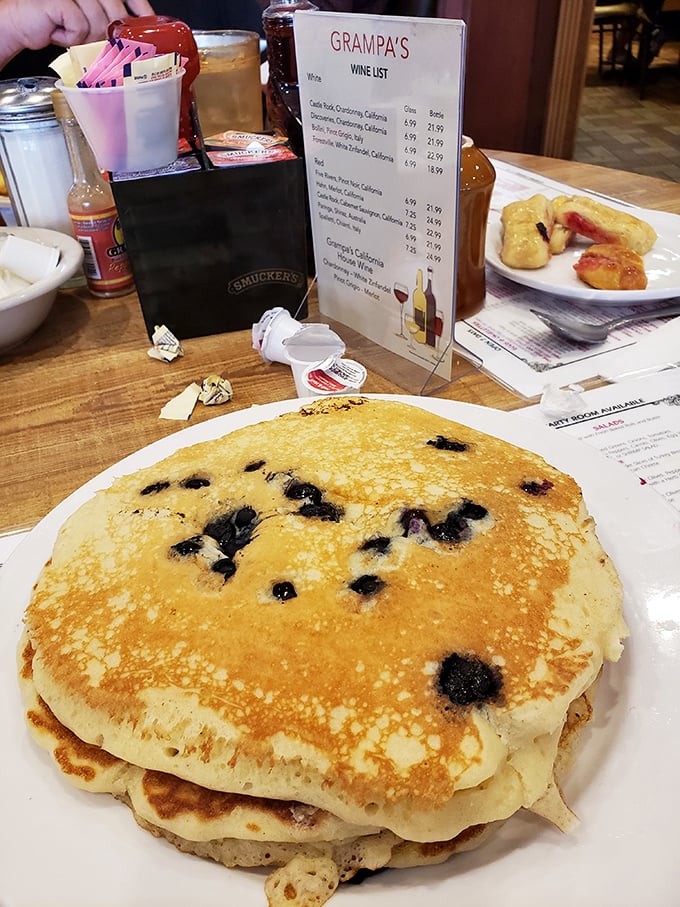 These blueberry pancakes aren't just big—they're the breakfast equivalent of a Florida sunset: expansive, impressive, and worth savoring every moment.