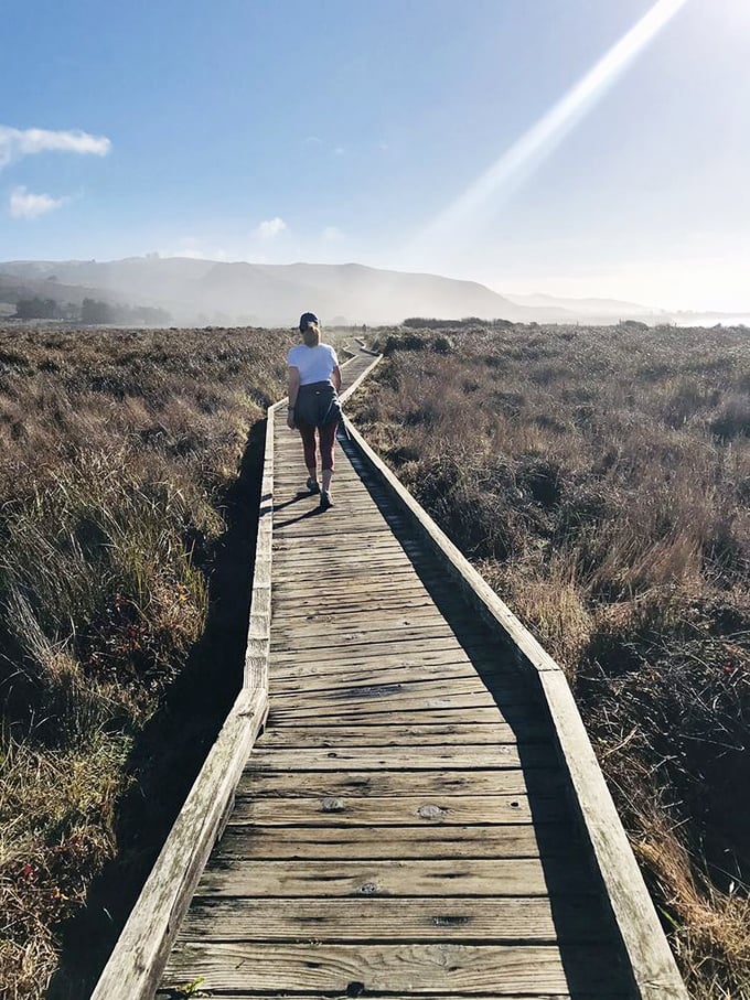 Not all who wander are lost, especially on this boardwalk. Some are just following the siren call of coastal views that make smartphone wallpapers jealous.