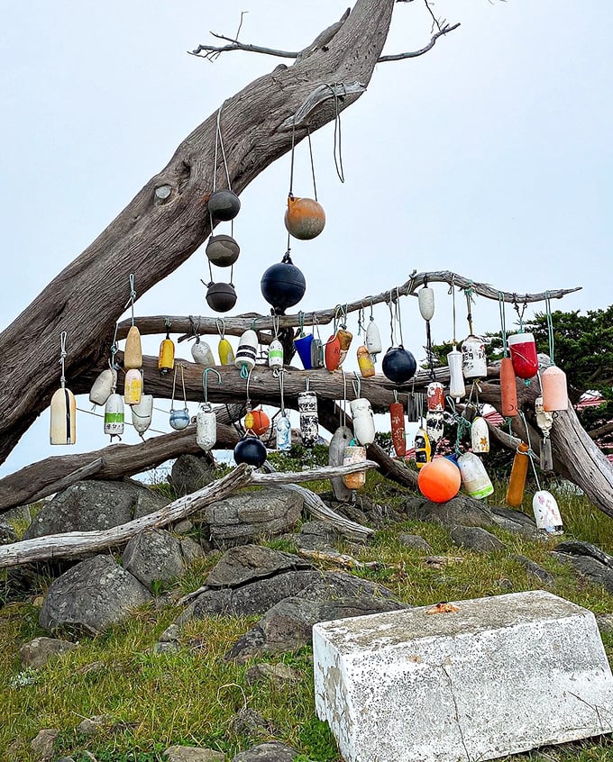The buoy tree—where maritime artifacts go to retire. Like a Christmas tree decorated by Neptune himself after a few too many seaweed cocktails.