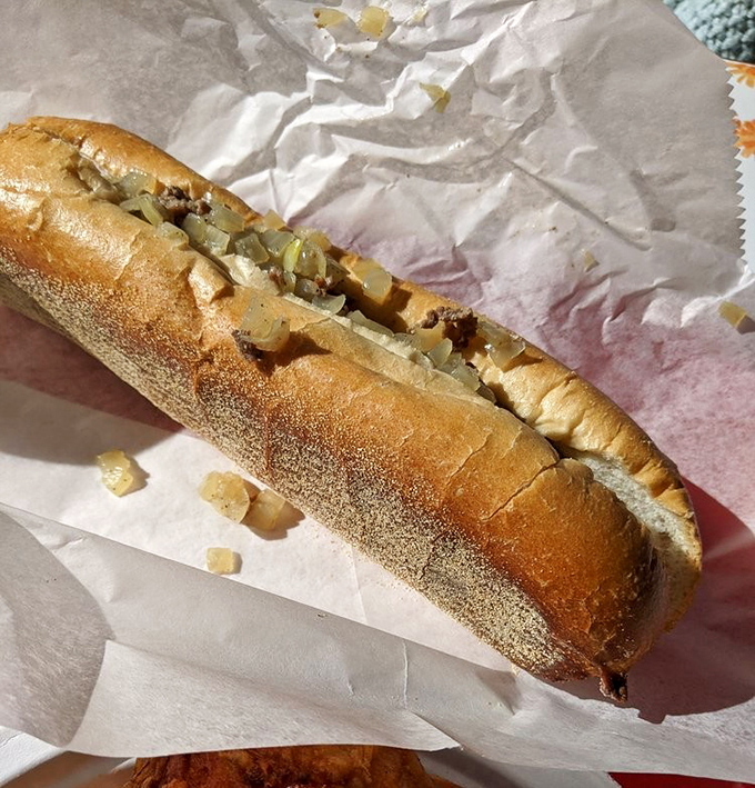 The humble cheesesteak, Pennsylvania's gift to the sandwich world. Those caramelized onions aren't just toppings—they're little flavor bombs of happiness.