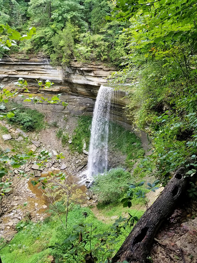 Clifty Falls doesn't roar—it gracefully descends, cutting through limestone that's been patiently waiting millions of years for your appreciation.