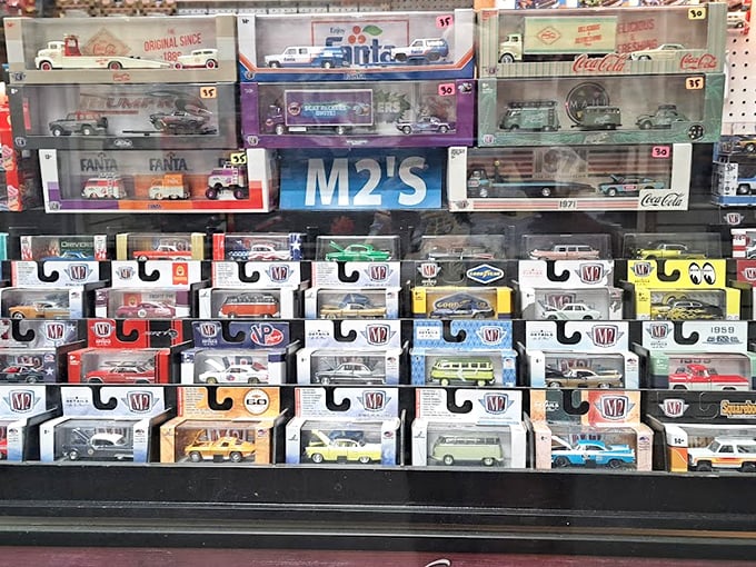 Miniature automotive history lines these shelves, where collectors debate the finer points of die-cast details with scholarly passion.