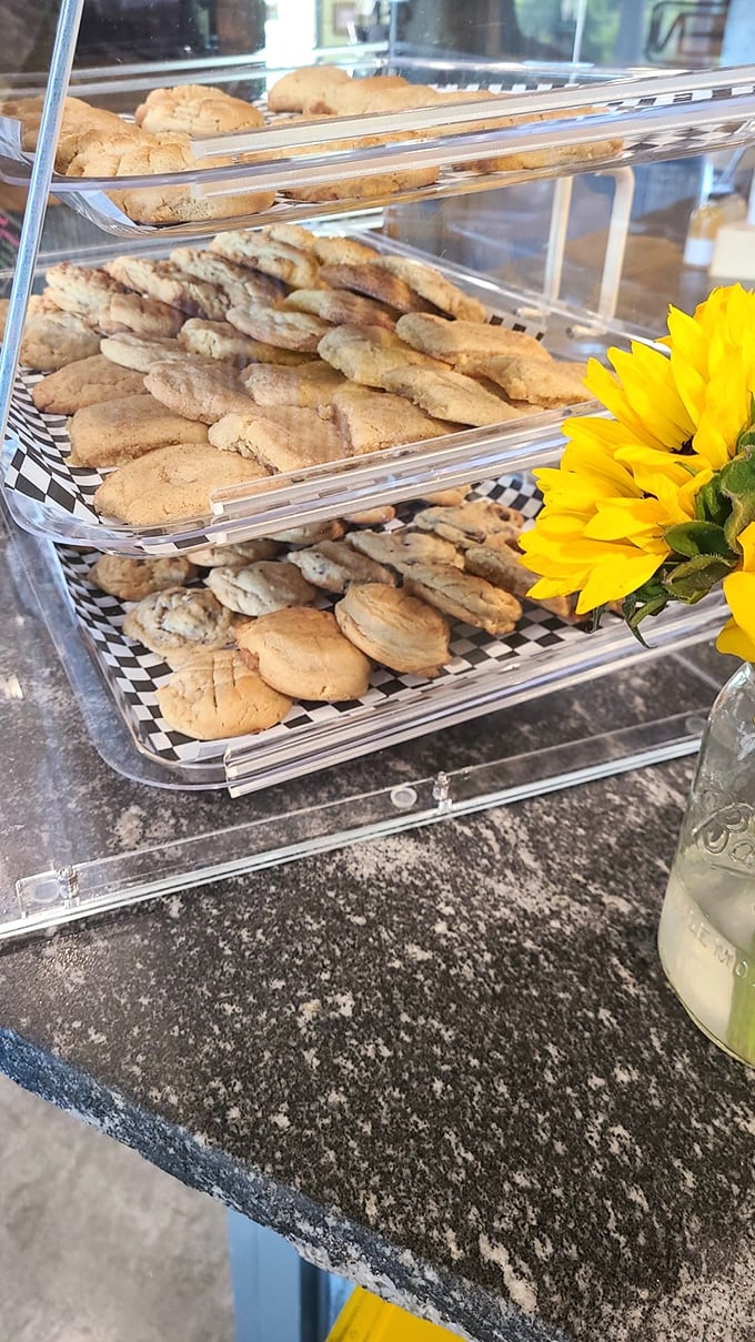 Cookie displays like this are why diets were invented to be broken. That sunflower knows what's up—it's facing the real sunshine in the room.