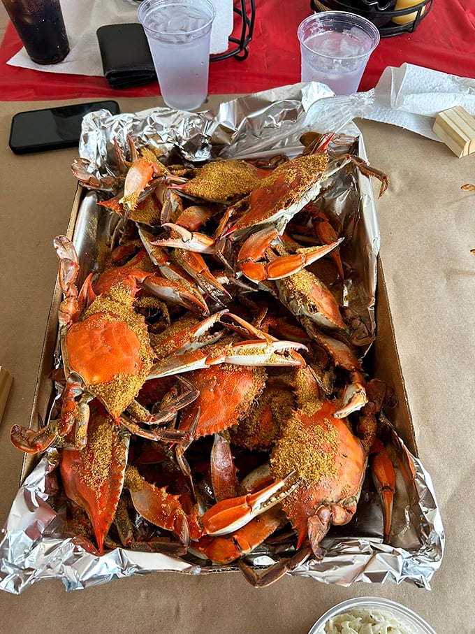 Seafood feasting doesn't get more authentic than this—steamed crabs dusted with spice, ready for the picking ritual that unites all Marylanders.