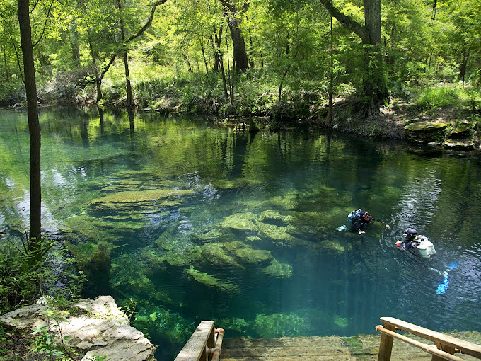Even certified divers travel thousands of miles just to explore these underwater cathedrals.