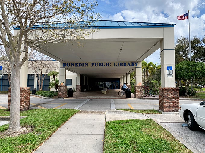 The Dunedin Public Library—where books and Florida sunshine create the perfect reading atmosphere. A temple of knowledge with parking that doesn't require an advanced degree to navigate.