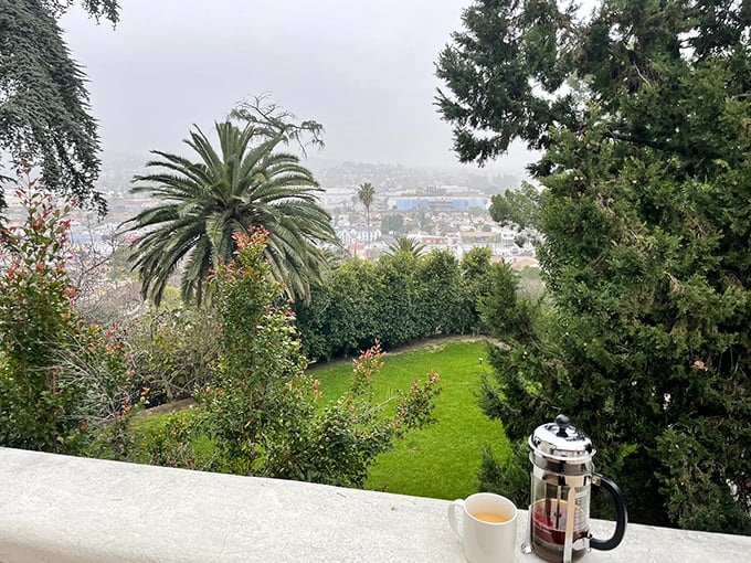 Morning coffee tastes better with a view—especially when fog transforms ordinary Los Angeles suburbs into a mysterious landscape worthy of a novel.