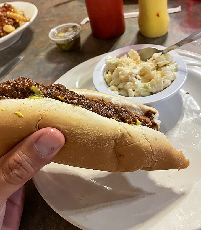 A foot-long hot dog with all the fixings alongside creamy macaroni salad. The perfect partnership since sliced bread met peanut butter and jelly.