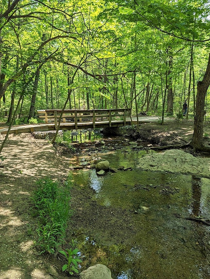 This charming footbridge isn't just crossing a stream—it's crossing the boundary between your everyday world and a pocket of wilderness magic.