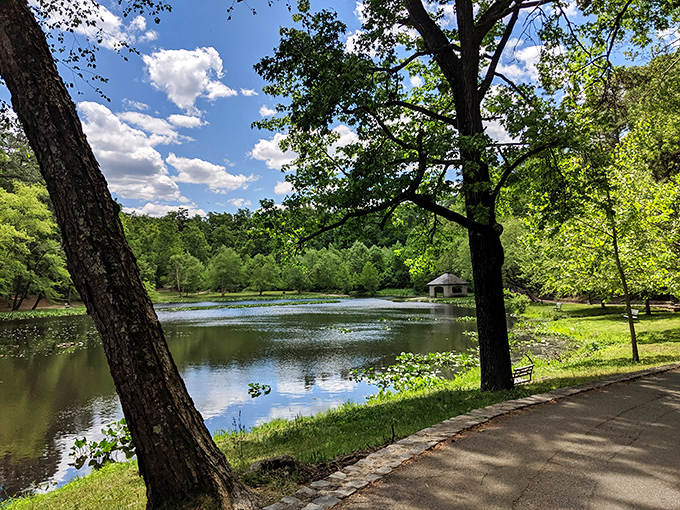 Forest Hill Park's serene pond reflects the surrounding greenery like nature's own Instagram filter. A pocket of tranquility just minutes from downtown.