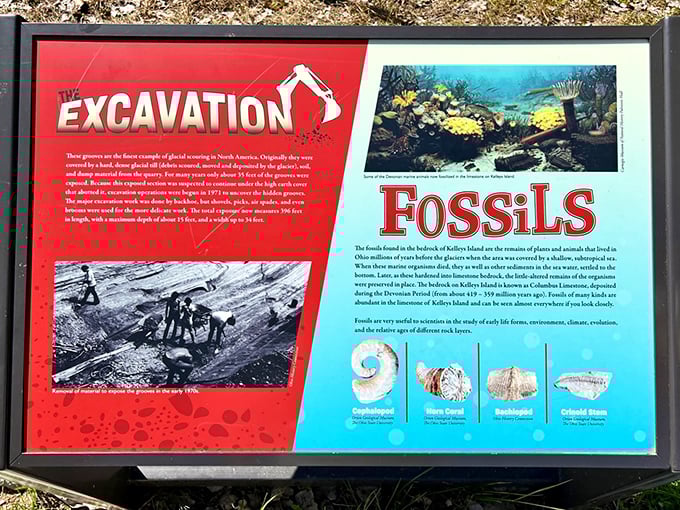 From ancient sea creatures to industrial quarrying - this sign reveals how Kelleys Island went from ocean floor to tourist destination.