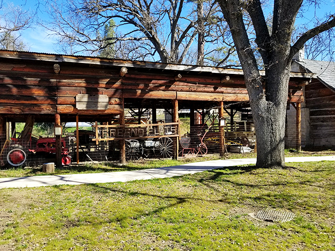 Fresno Flats Historical Park – where yesterday's artifacts tell stories without the admission prices of big-city museums. 