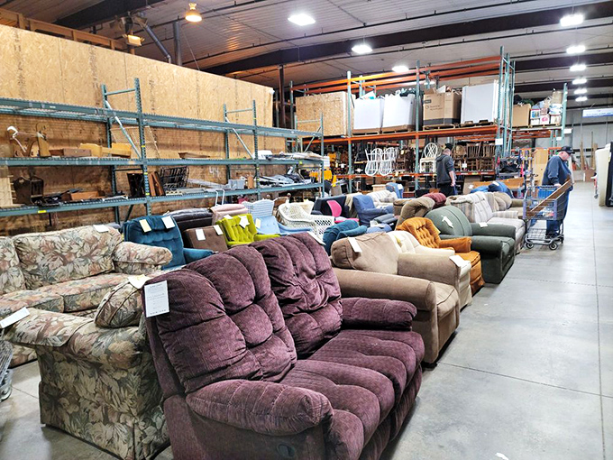 Sofa safari at its finest! This lineup of comfy couches proves that secondhand seating can still offer first-class comfort.