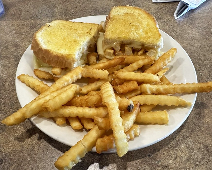 The humble grilled cheese sandwich, elevated to art form. Those perfectly golden edges are what childhood dreams are made of.