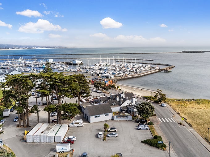The harbor stretches its protective arms around hundreds of vessels, a nautical neighborhood where seafood begins its journey from ocean to your plate.