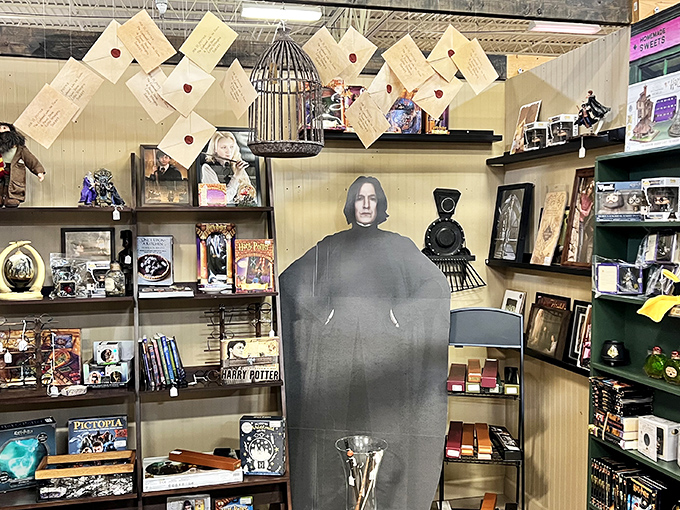 Hogwarts has relocated to Lakeland! This magical collection would make even Severus Snape crack a smile—almost.