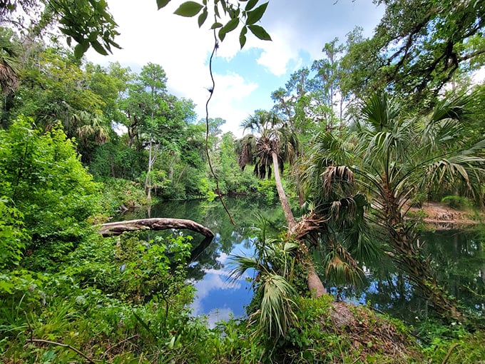 Mirror-like waters create perfect reflections of the palms and sky—nature's Instagram filter before filters were even a thing.