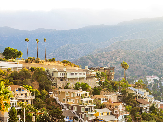 Homes cascade down Avalon's hillsides in a game of architectural Tetris, each balcony positioned for maximum "look-at-my-view" bragging rights.