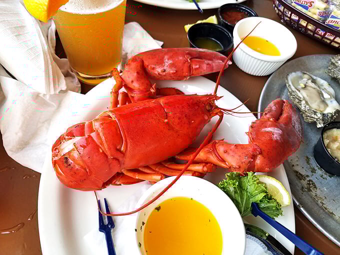 The lobster that launched a thousand food photos. Red as a sunburned tourist and twice as impressive when it arrives at your table.