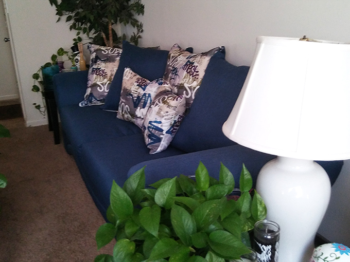 That blue sofa could tell stories of family movie nights and naps—now waiting for its second act in your living room.