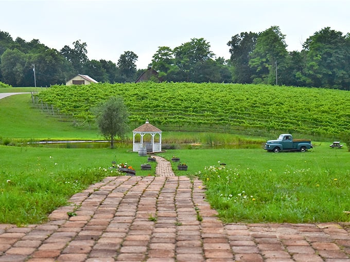 Rows of grapevines stretching toward the horizon remind us that Michigan wine country isn't just a phrase—it's a delicious reality worth exploring.