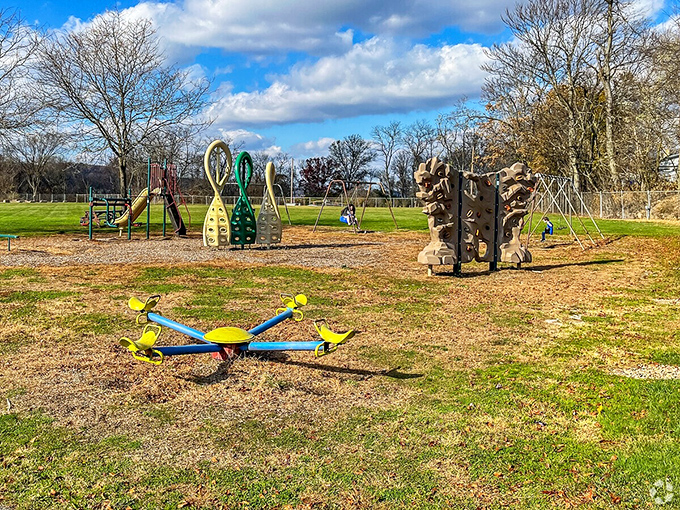 Playground equipment that proves kids don't need digital enhancements to have fun—just gravity, momentum, and the occasional parental push.