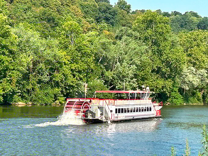 This sternwheeler churns memories of Mark Twain's America, minus the complicated social commentary and plus air conditioning.