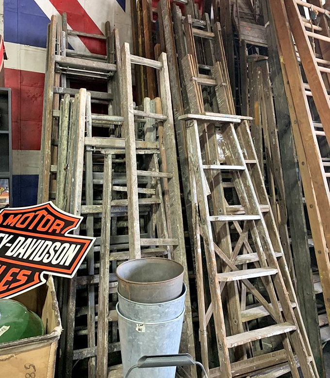 These weathered ladders aren't just tools – they're sculptural pieces with more character than most modern furniture will ever develop.