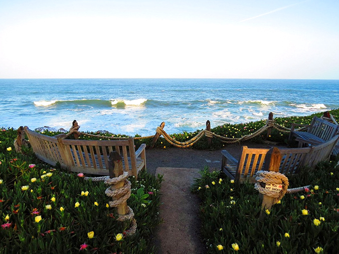 Garden seats positioned for maximum ocean appreciation—proof that sometimes the best entertainment requires no ticket, just the patience to watch waves roll in.
