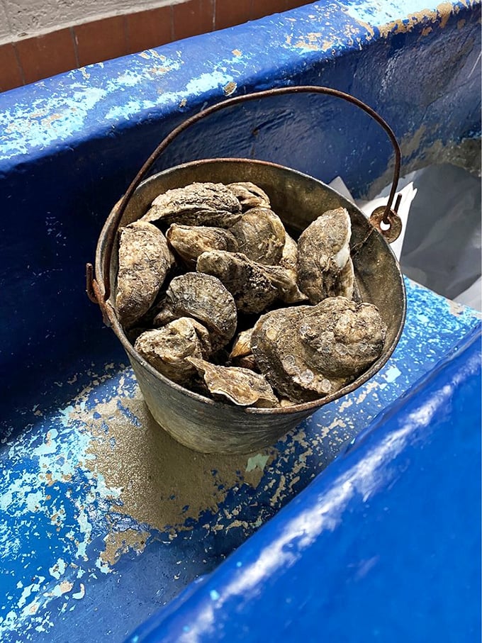 The legendary oyster bucket in its natural habitat—unshucked treasures waiting to reveal their briny secrets. Seafood doesn't get more authentic than this.