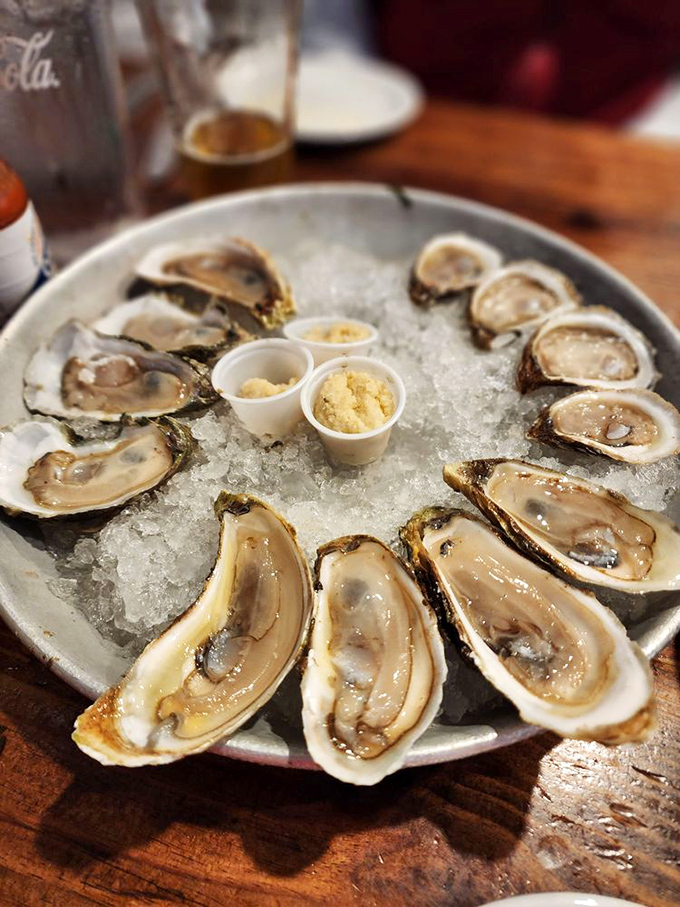 Oysters arranged like a clock counting down to flavor o'clock. The ocean's perfect little packages of briny bliss.