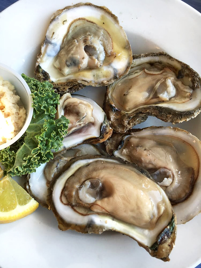 Fresh oysters glistening like jewels – nature's perfect appetizer with just a squeeze of lemon and a dash of adventure.