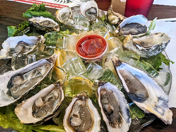 Fresh oysters on ice—nature's perfect appetizer. Like kissing the ocean, but with cocktail sauce as your wingman.