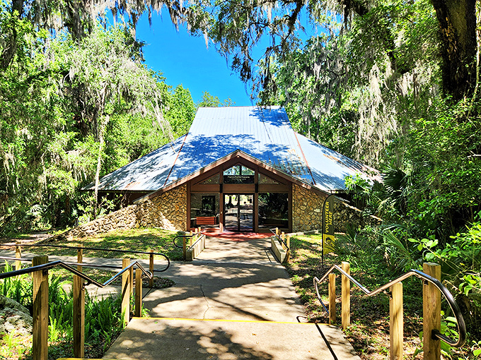 The Visitor Center at Paynes Prairie looks like what would happen if Frank Lloyd Wright designed a treehouse – natural materials blending perfectly with surroundings.
