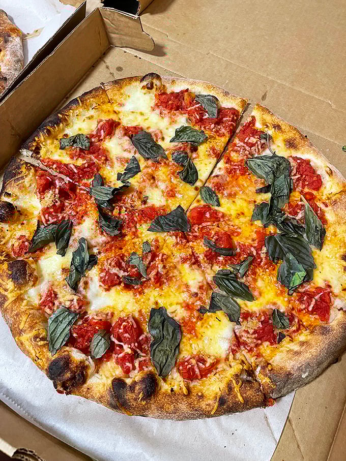 Pizza that doesn't play by Pennsylvania rules. Those fresh basil leaves aren't garnish—they're little flags of surrender to flavor country.