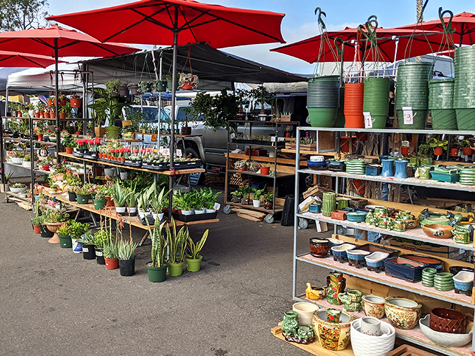 A garden center sprouting from asphalt – these plant vendors transform concrete into possibility with every succulent, herb, and flowering friend.
