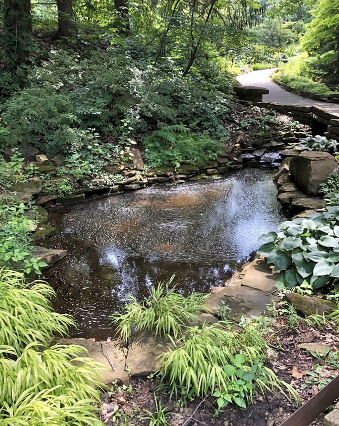 Reflections dance across this serene pond where water lilies and koi create nature's own meditation app—no subscription required.