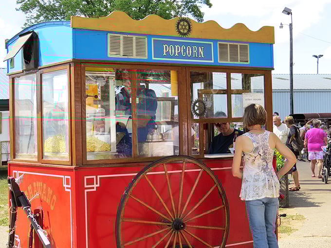 This isn't just any popcorn stand—it's a time machine with wheels. The scent alone transports you to childhood county fairs.