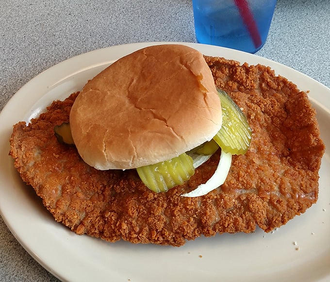 The pork tenderloin sandwich that's having an identity crisis—it thinks it's bigger than the plate. Crispy, golden perfection that makes Midwesterners proud.