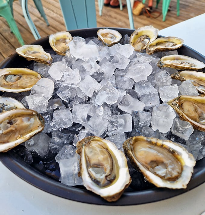 Nature's perfect appetizer—briny treasures nestled on ice, needing nothing more than a squeeze of lemon and a moment of appreciation.