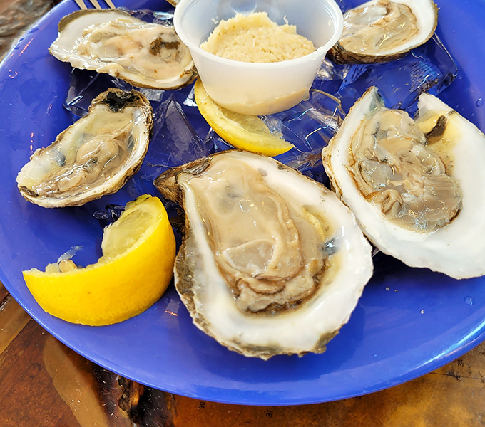 Fresh oysters on the half shell – nature's perfect appetizer, just waiting for a squeeze of lemon and a moment of appreciation.