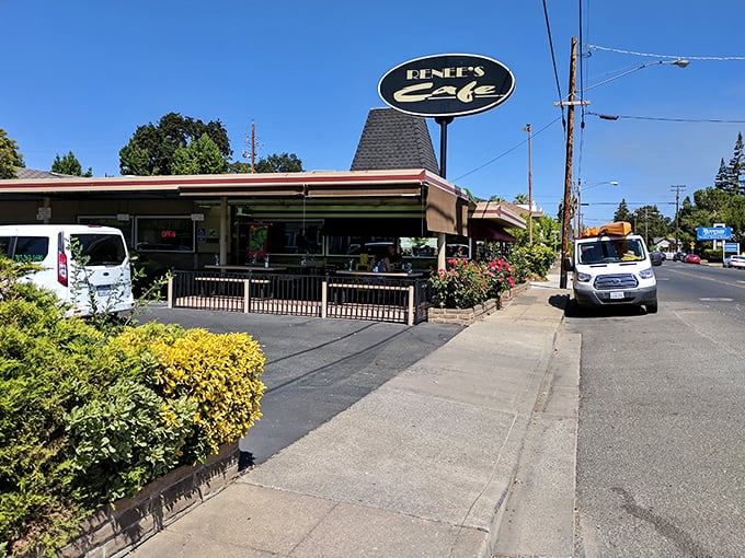Renee's Café isn't trying to be Instagram-famous—it's just serving comfort food that makes you want to adopt the chef as your personal kitchen wizard.